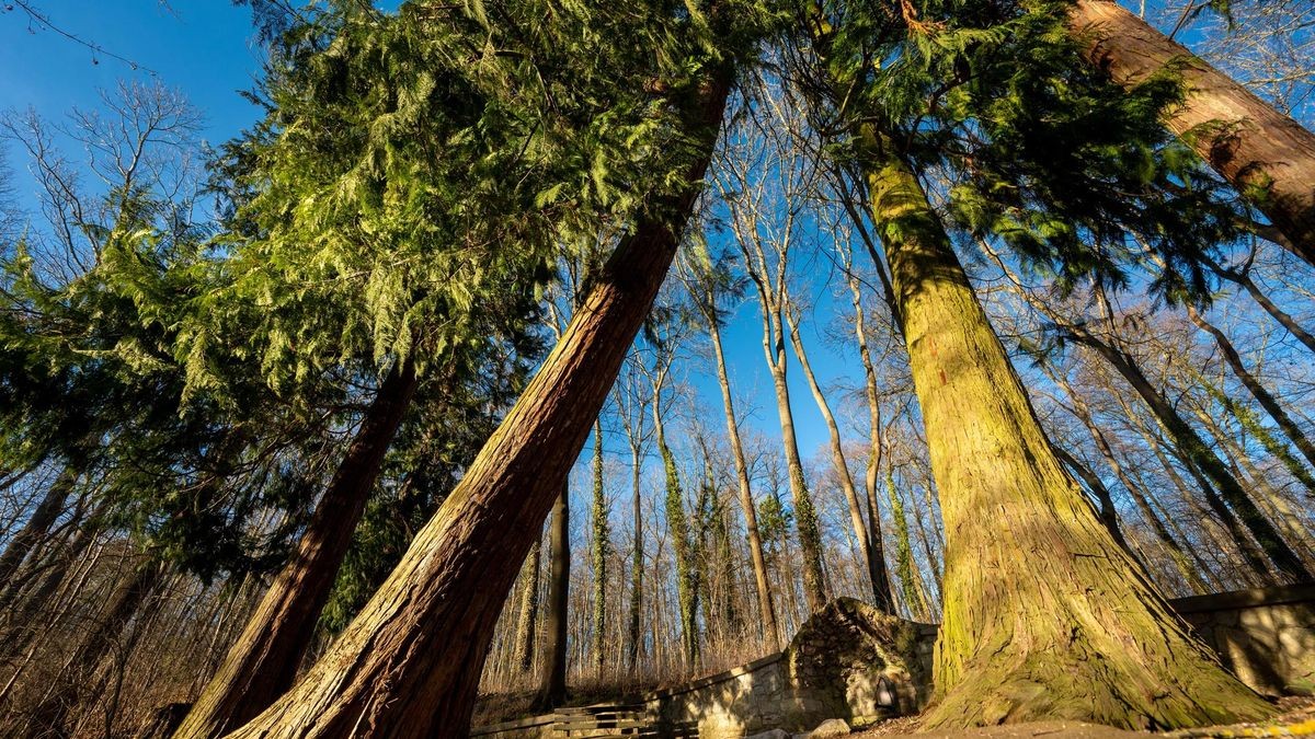 Kurznachrichten aus dem Kreis Gotha (mit Video)