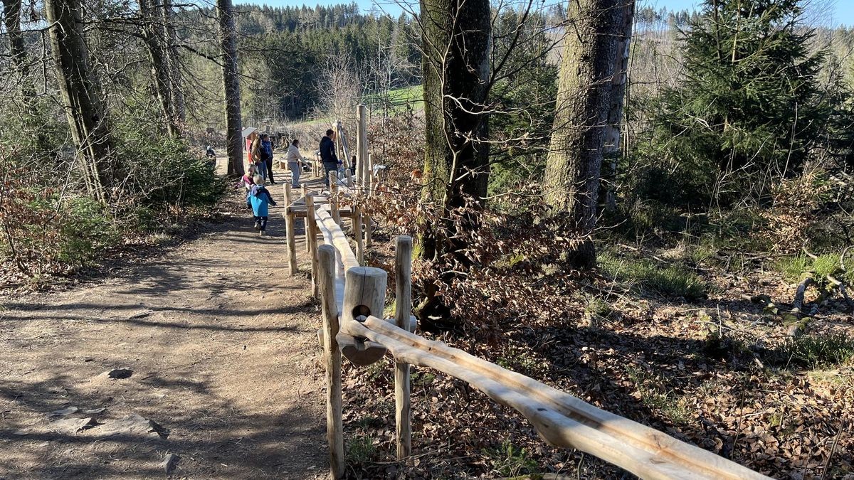 XXL-Murmelbahn in Wildewiese: Bereits 3000 Kugeln verkauft