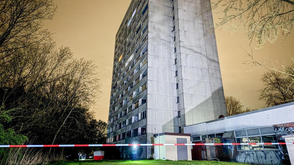 Nachrichten aus Hamburg und der Welt - Hamburger Abendblatt