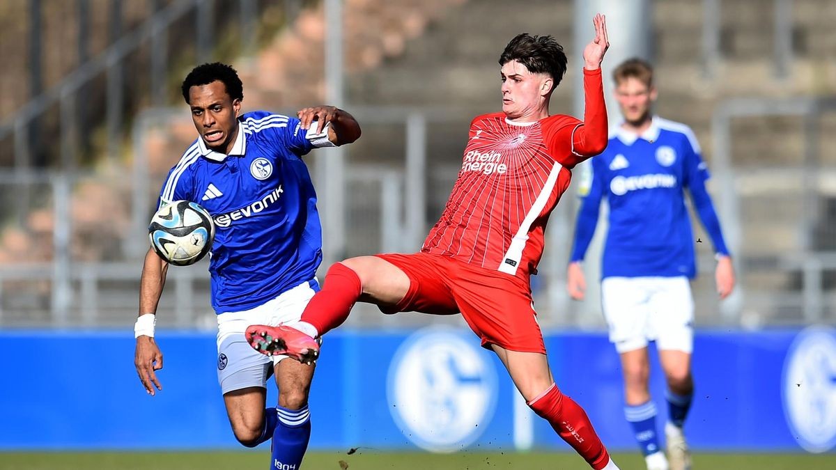 Rot-Weiss Essen: Er soll die Nummer 9 bekommen - Potocnik vor Wechsel ...