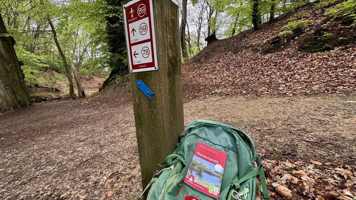 Ungeahnt spektakulär: Die schönsten Wanderrouten in den Niederlanden