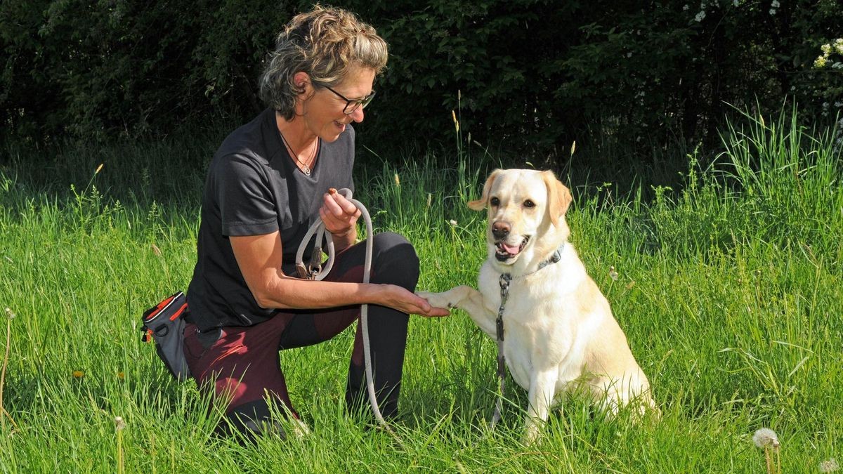 Trotz unbehandelter Verletzung: Luna lässt sich in Gotha nicht unterkriegen