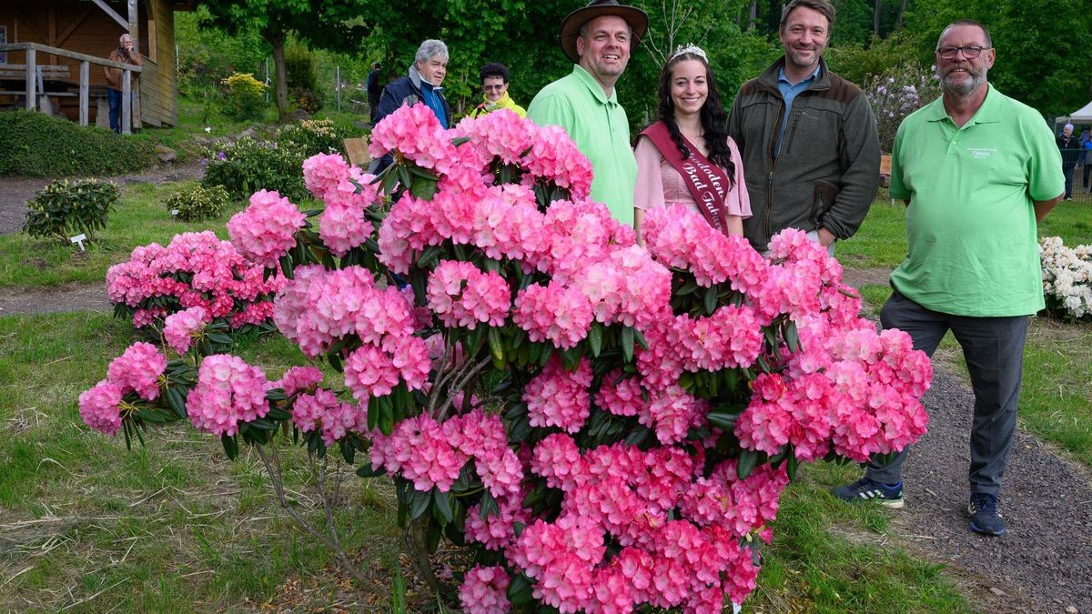 Ein buntes Meer aus Tausend Blüten im Kreis Gotha