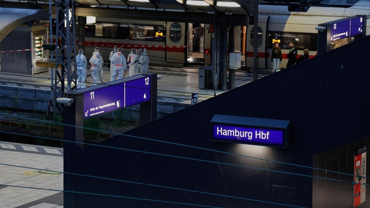 Nachrichten aus Hamburg und der Welt - Hamburger Abendblatt