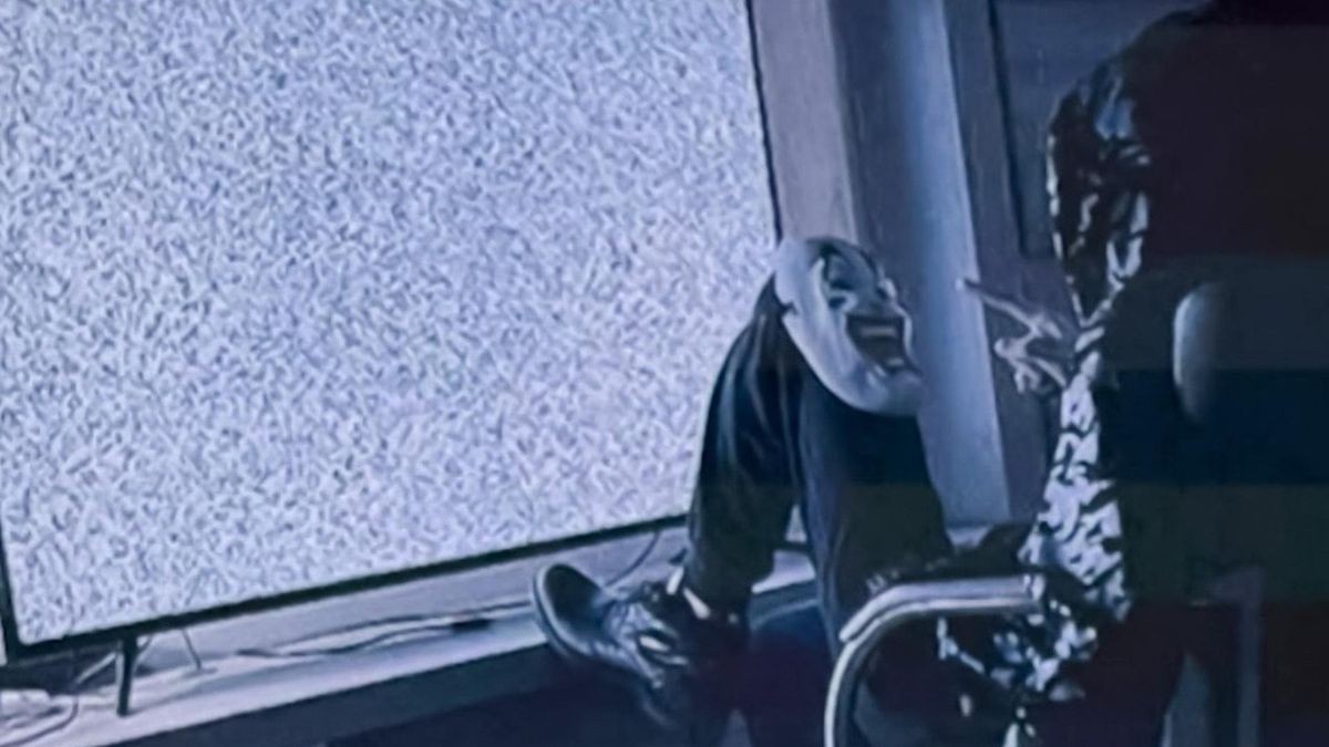 White Tiger in Hamburg verhaftet – Anwältin: „Er ist eher schüchtern und introvertiert“