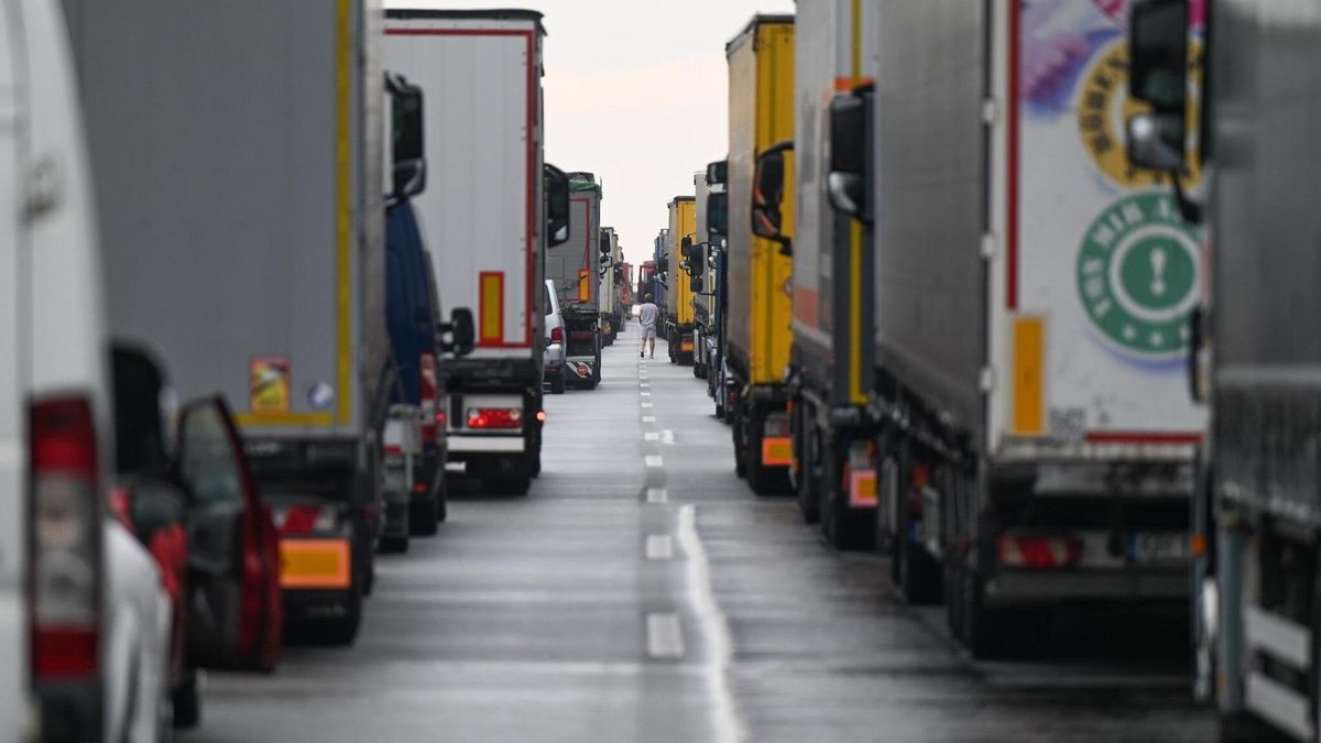 Cargonexx: Hoffnungsträger der Hamburger Wirtschaft überraschend insolvent