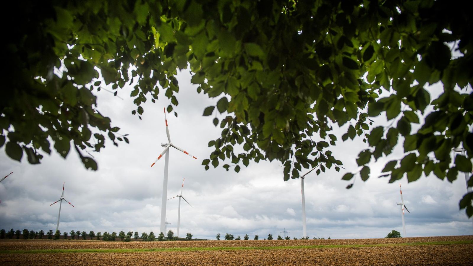 Naturally bionka that woman is really gorgeous and