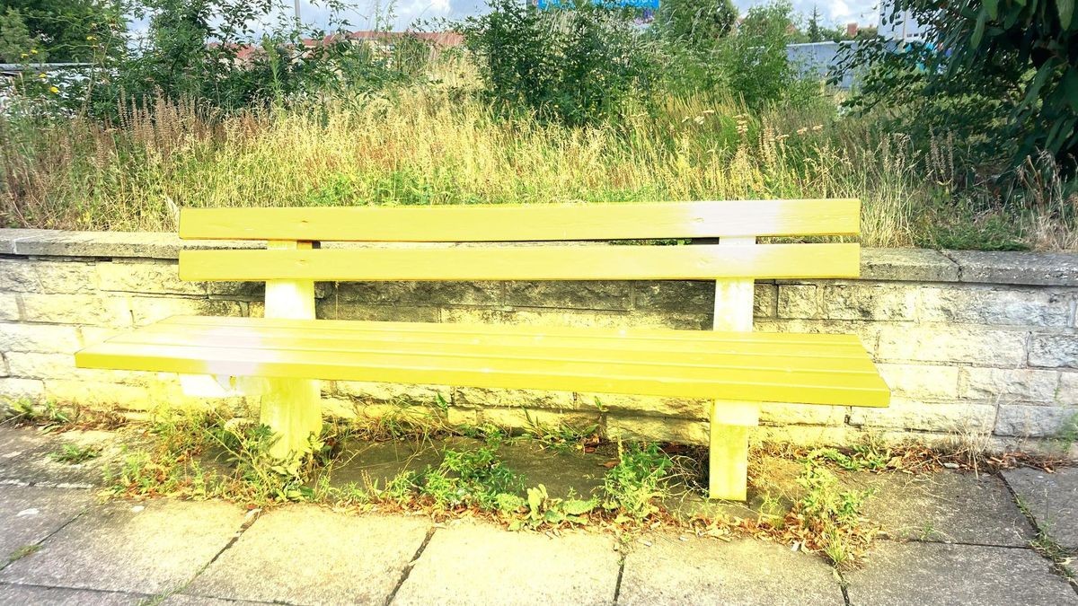 Die Goldene Parkbank: Warum wird in Erfurt alles doppelt so teuer? – Teil 2