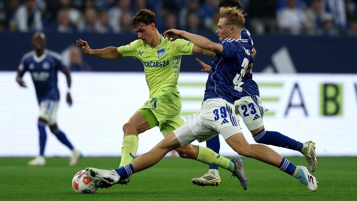 Grandiose Schalke-Noten! Drei Profis verdienen sich die 1,5