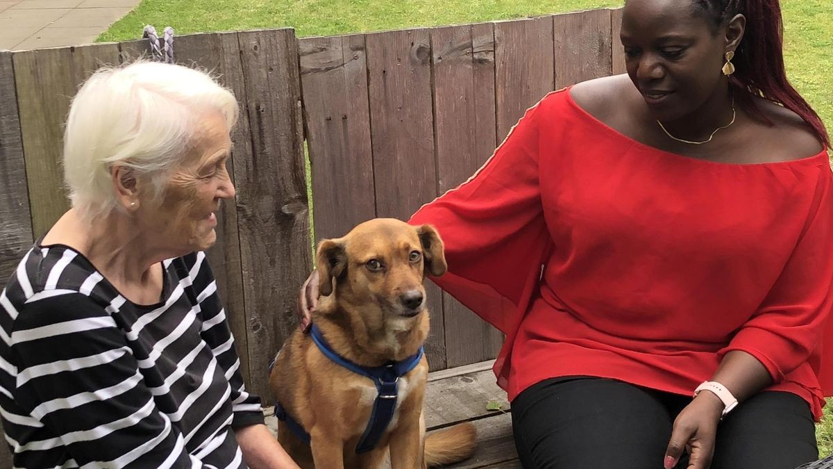 Abschiebung einer Peiner Pflegerin – so reagiert das Netz