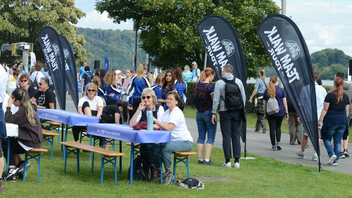 Essen: Mehr als 70 Fotos vom Team Walk am Baldeneysee