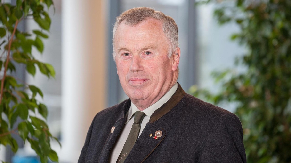 Abschussliste: Jäger im Kreis Pinneberg wollen diesen vier Tierarten ...