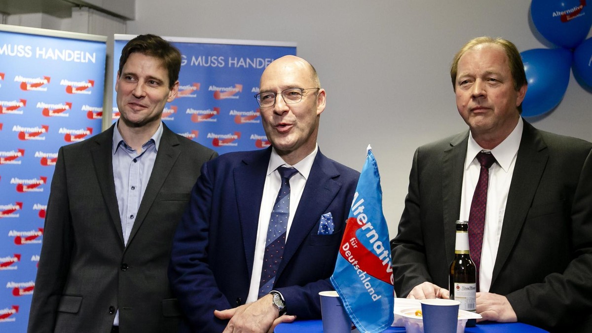 AfD-Mann aus Hamburg bei „neofaschistischem“ Treffen in Russland – mit ...