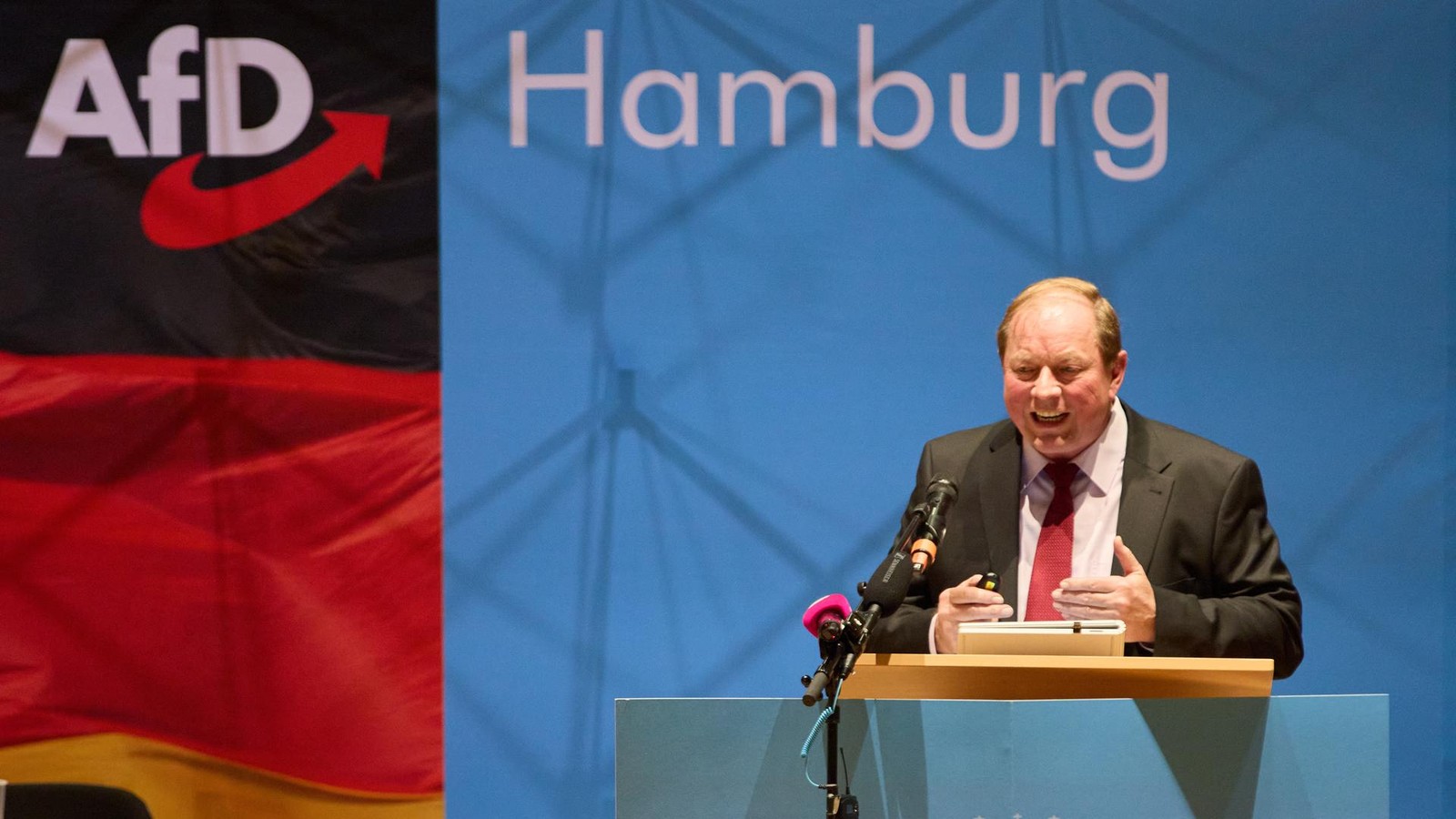 AfD in Hamburg schmeißt Robert Risch raus: Was er in Russland auf ...
