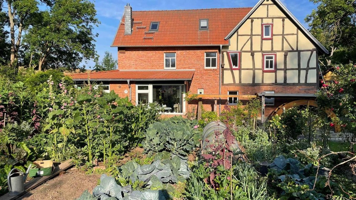 Leben neben Windrädern im Eichsfeld: Hellwigs zeichnen ein düsteres Bild und sehen ihr ...