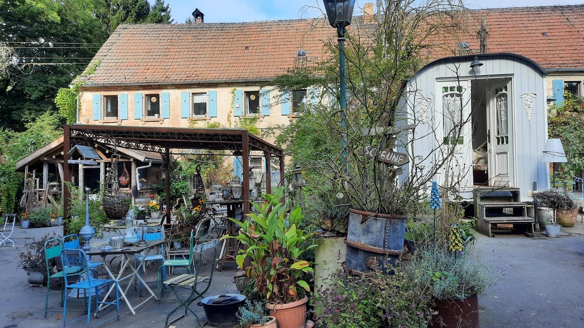 Herbstfest auf dem Rittergut Endschütz: Susann Schmidt lädt zum Feiern ein