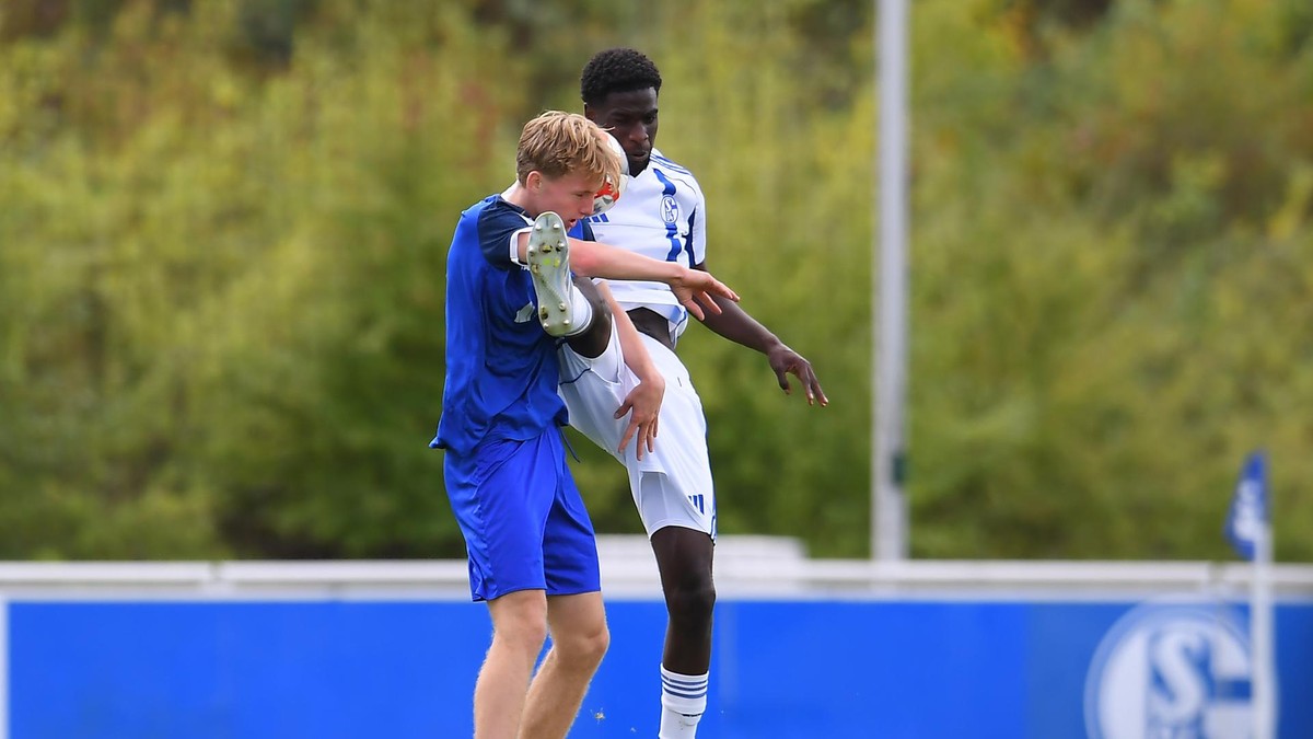 Schalker Abwehr-Talent im Visier der Scouts? Das sagt Norbert Elgert