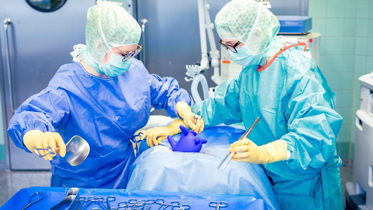 Was Oregano mit der Ausbildung in der Elisabeth-Gruppe zu tun hat