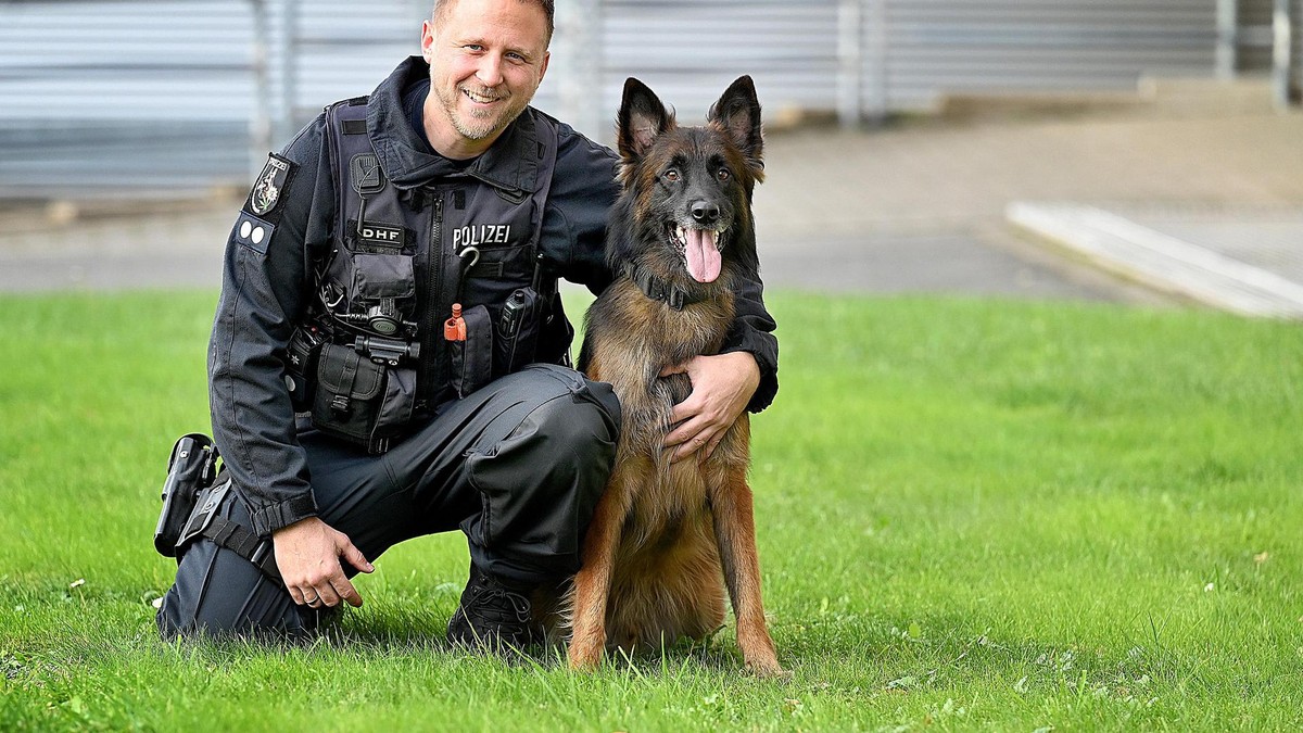 Turbo und Torben: Wie Hund und Herrchen den flüchtenden Dieb im Gebüsch ...