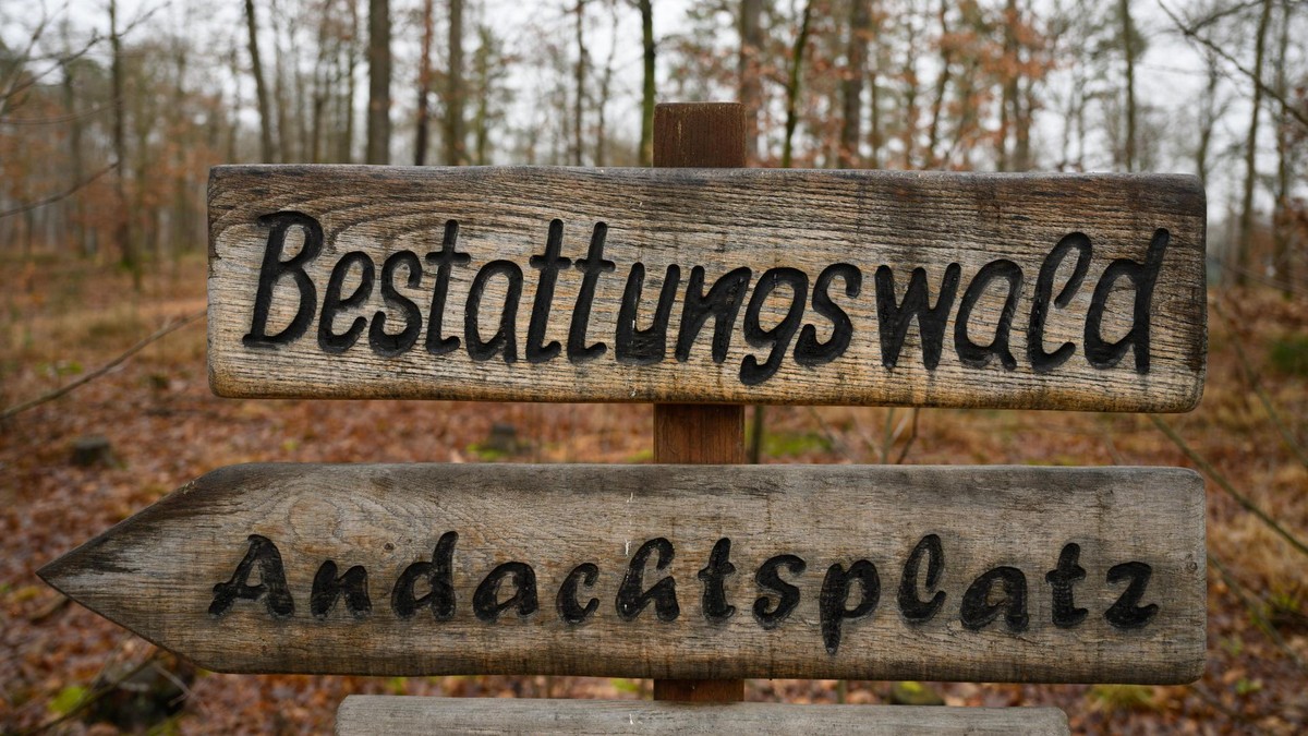 1.700 Euro könnte es kosten: Eine Beisetzung in Geras Bestattungswald