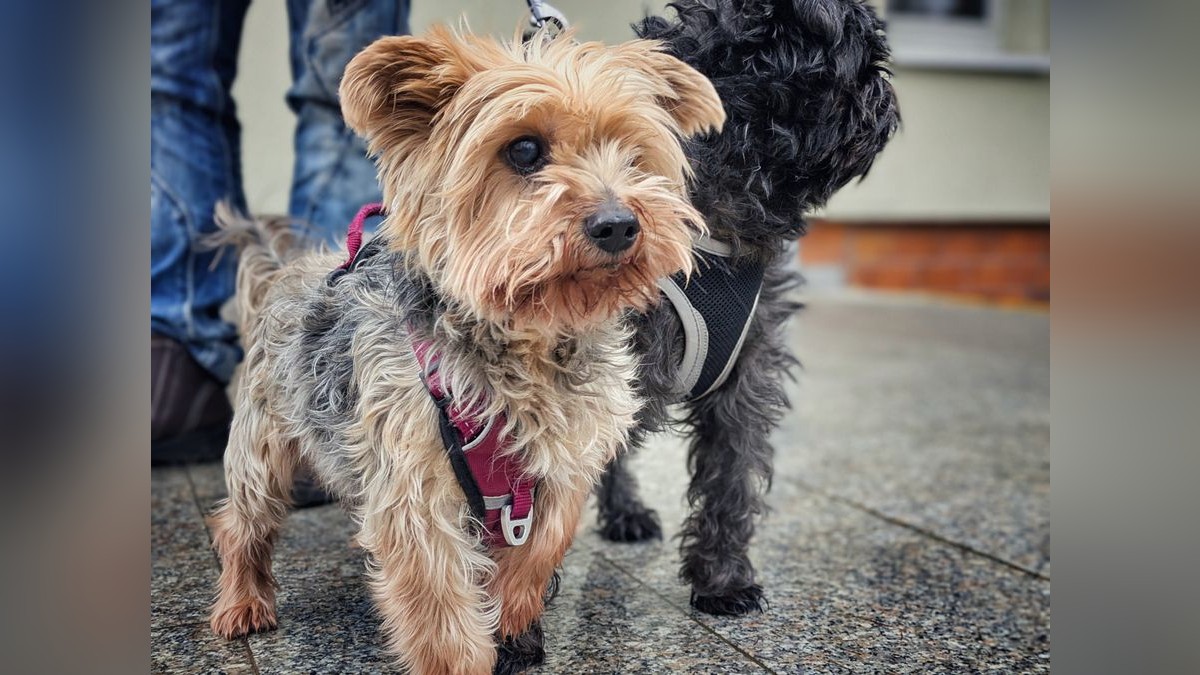 „Existenz gefährdet“: Meinungen von Lesern aus dem Kreis Saalfeld ...