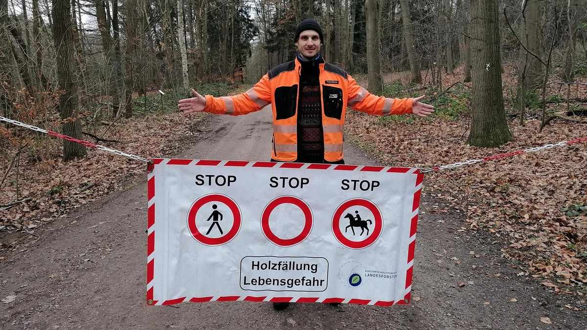 Reinbek: Lebensgefahr – Stadt warnt vor Betreten der Wälder