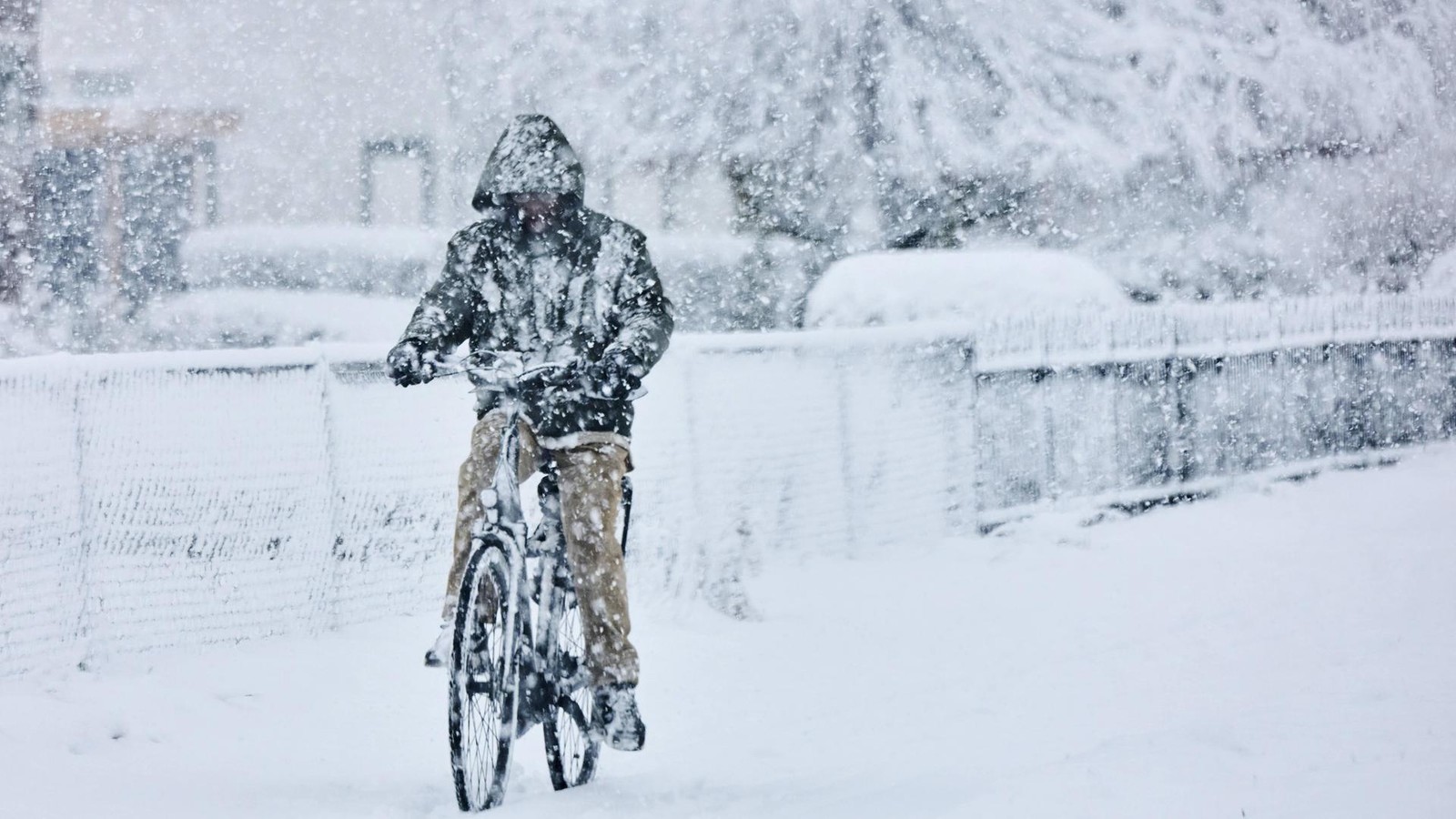 A7: Mann (22) radelt auf Autobahn zur Arbeit – mit Handy-Taschenlampe ...