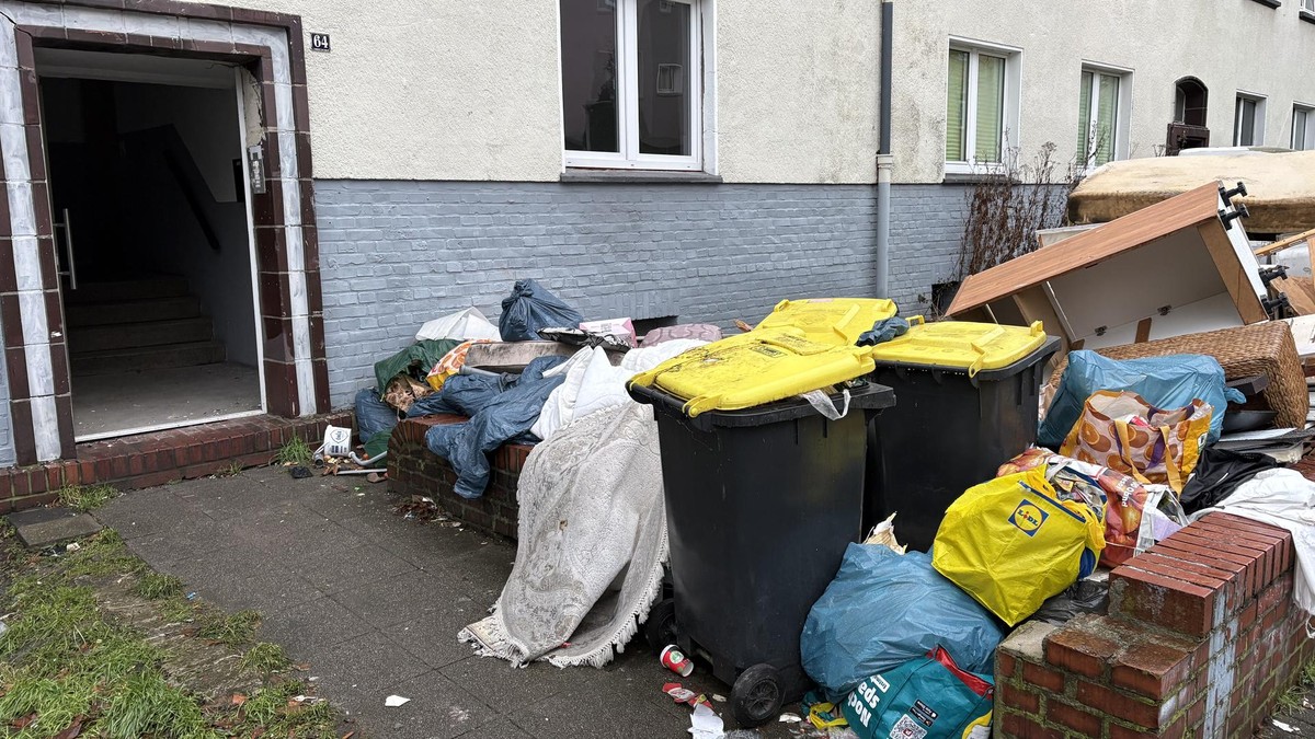 „Wie kann man sich noch wehren?“: Abartige Müllberge – immer an ...