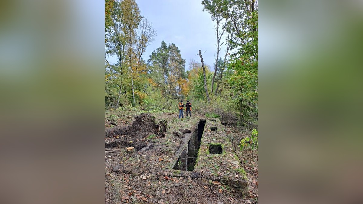 Forschungsgrabung in Walbeck bei Helmstedt enthüllt Spuren aus ...