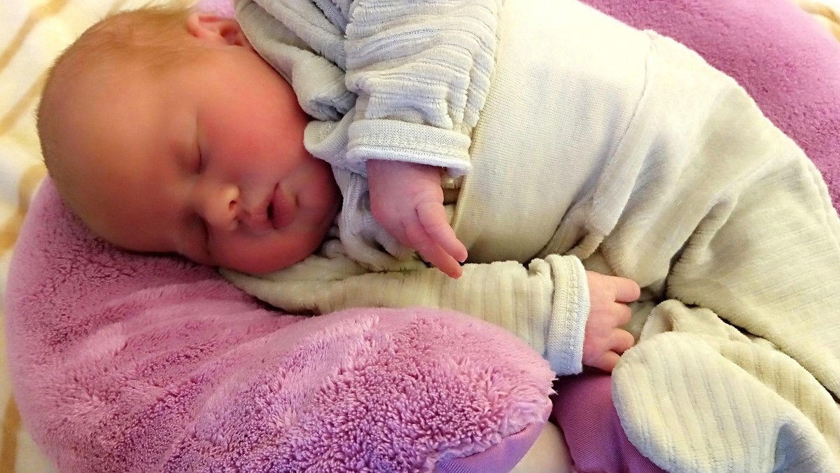 Hallo Welt, wir sind da: So süß ist der Nachwuchs aus Nordhausen