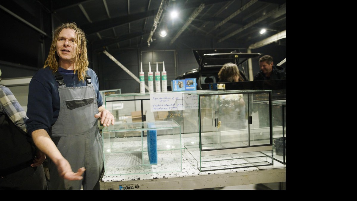 Zierfischbörse Braunschweig: Warum Aquaristik plötzlich Influencer anzieht