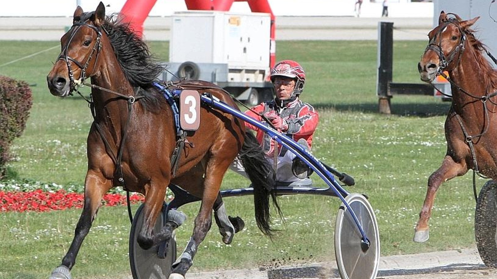 Der Traber-Monat Mai endet furios