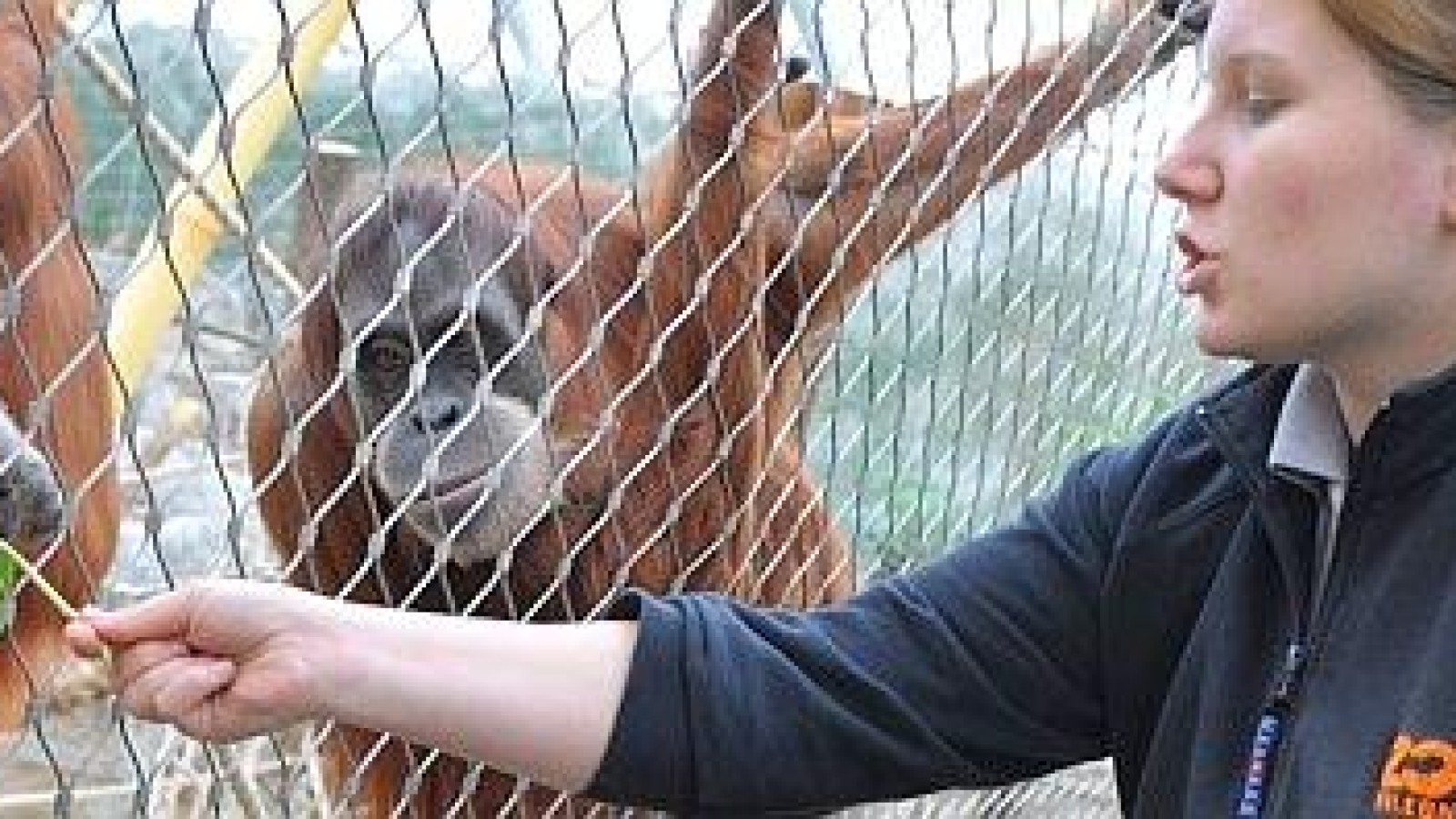 Tierpflegerin in der Zoom Erlebniswelt – ein spannender Beruf