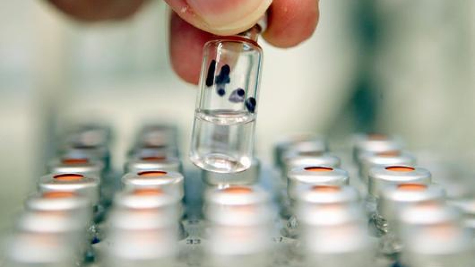 Sulfolan: Minister Uhlenberg in der Kritik