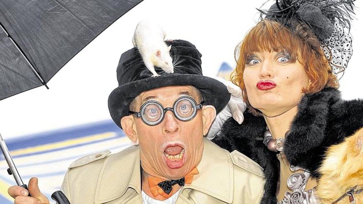 Die will nur spielen: Katze trifft Ratte