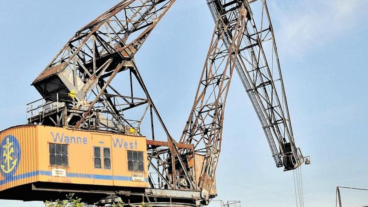 Petition für Krummen Hund