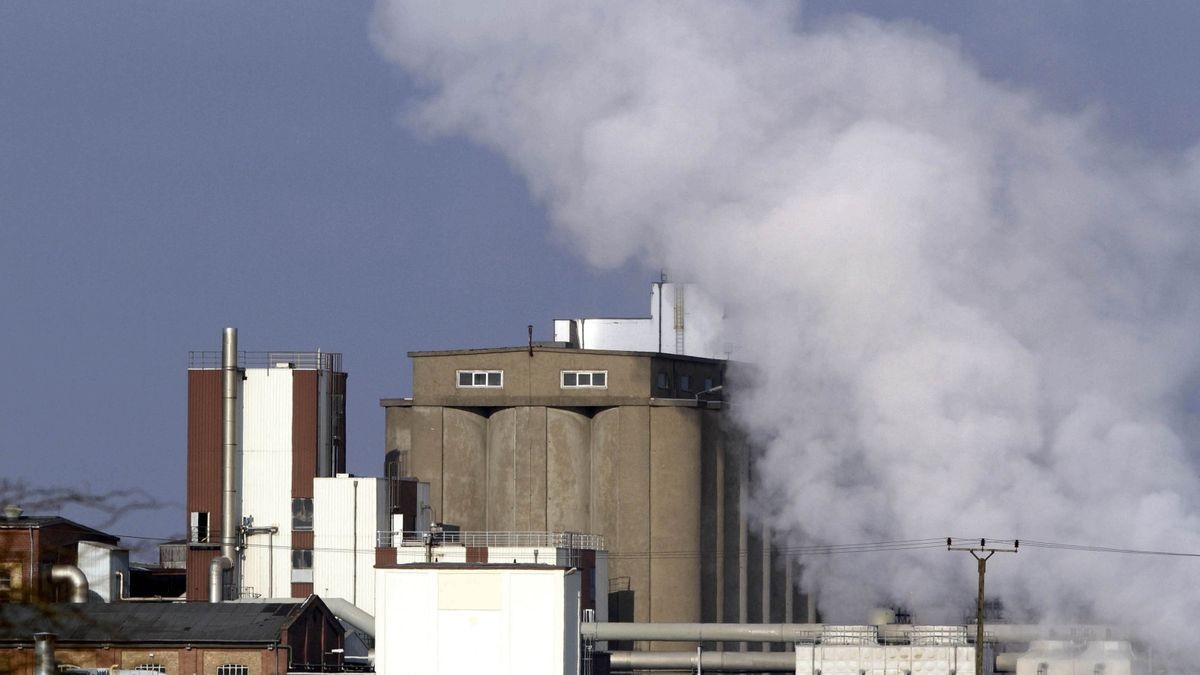 Kleve spart kaum Energie ein