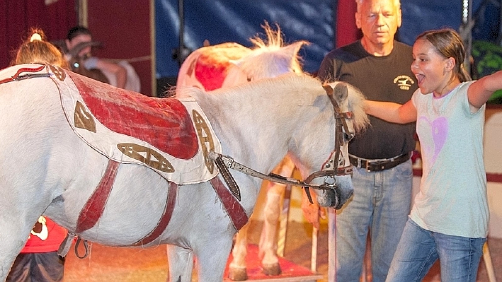 Schüler erobern Zirkus-Manege