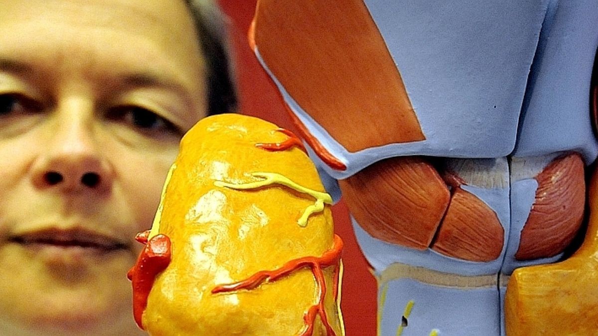 Informationstag über Schilddrüsen-Erkrankung in Hagen