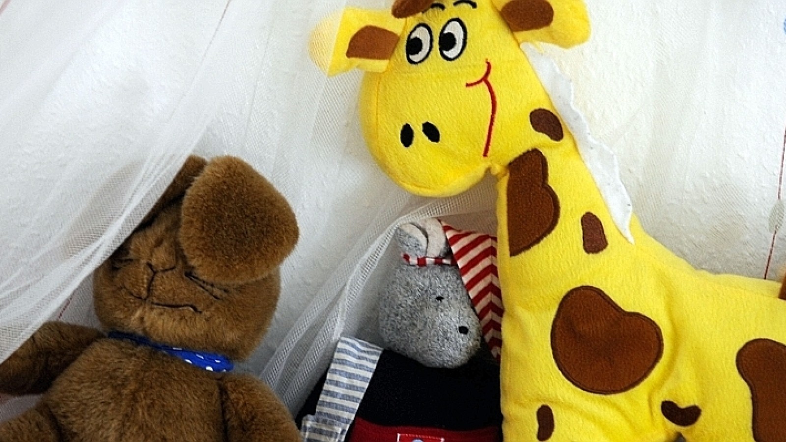 Peter Wenzel - Erzieher leisten die meiste Arbeit