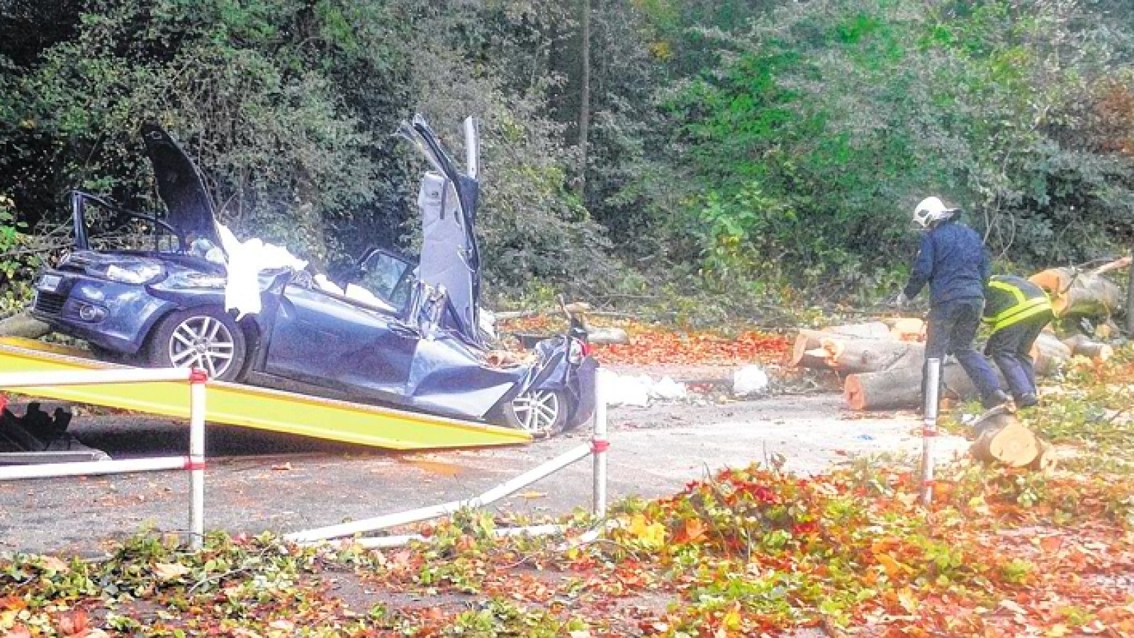 Baum erschlägt Fahrer und ein Kind