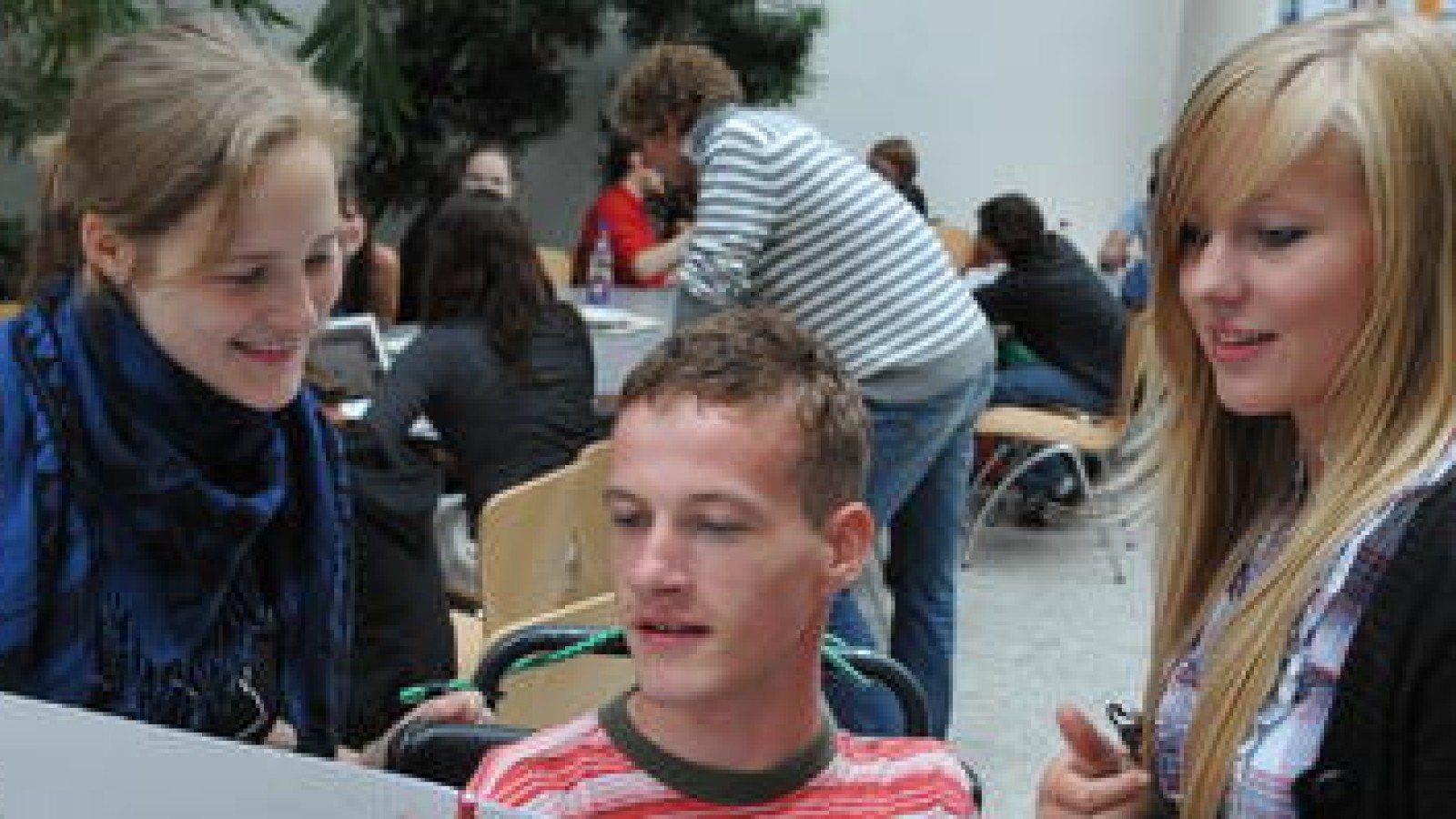 Probieren geht über Studieren