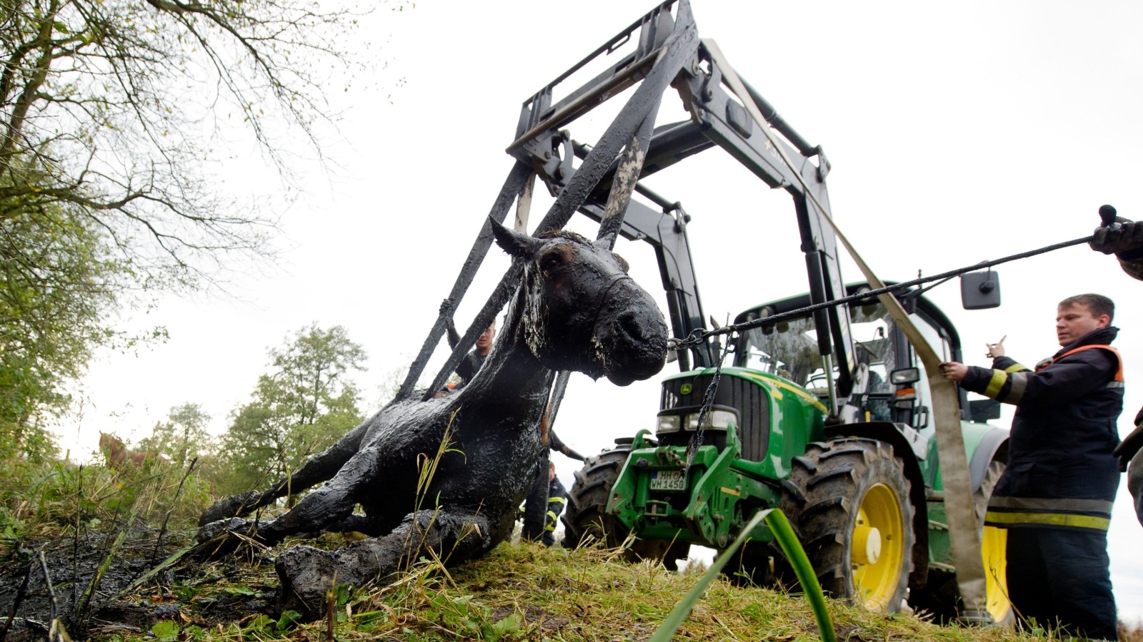 Stute "Emma Ina" steckte zwei Stunden im Schlamm fest